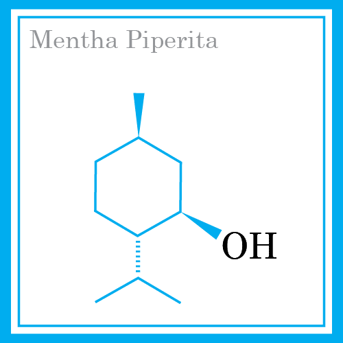 Phenastin Pharmaceutical Weight Loss and Diet Aid