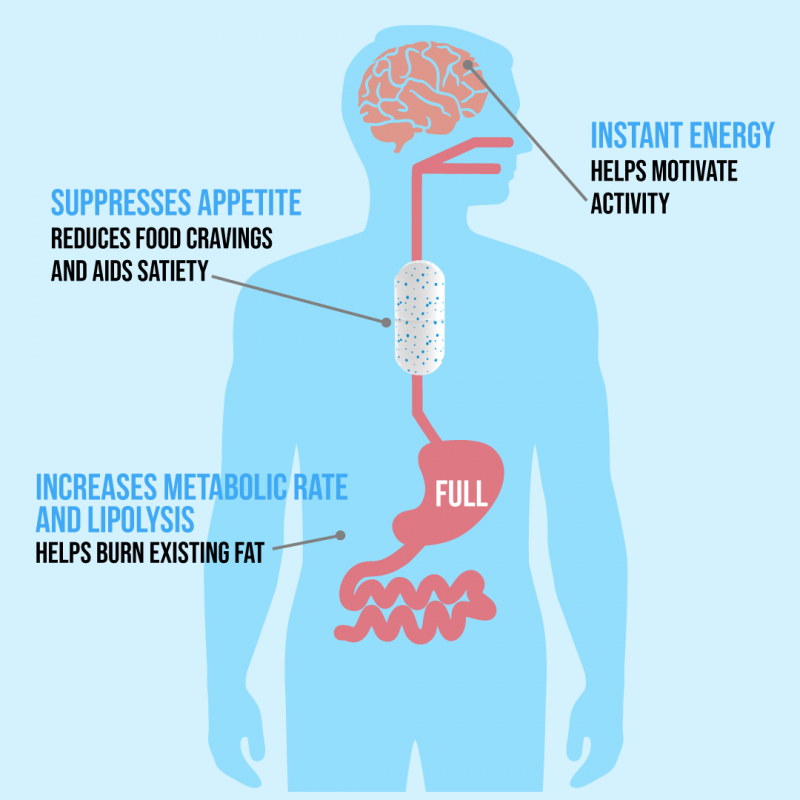 Phenastin Pharmaceutical Weight Loss and Diet Aid
